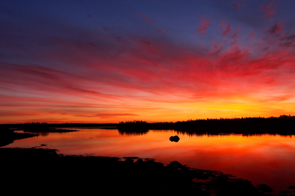 Welcome to the Port Elgin Beachers Association | Leadership Committee